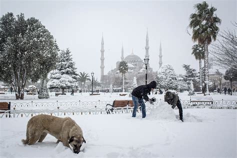 Turkey Istanbul Snow Storm Causes Travel Chaos And Beautiful Photos