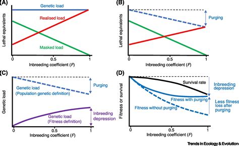 purging and accumulation of genetic load in conservation trends in ecology and evolution