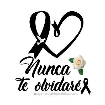 10 Imágenes Bonitas Te llevo en mi Corazón y Nunca te Olvidaré