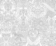 Coloriage Adulte Pattern Zentangle Jecolorie