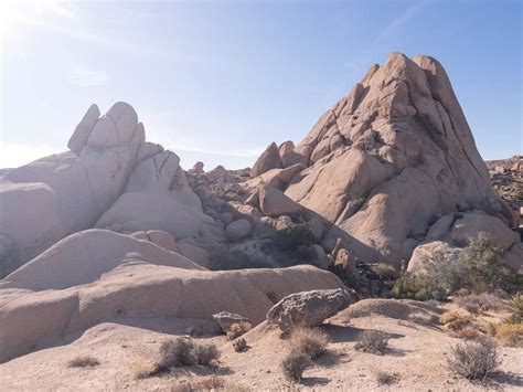 Skull Rock Joshua Tree Hiking Guide The Discoveries Of