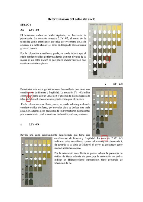 Tabla Munsell y su correcto uso de en la descripción de los suelos