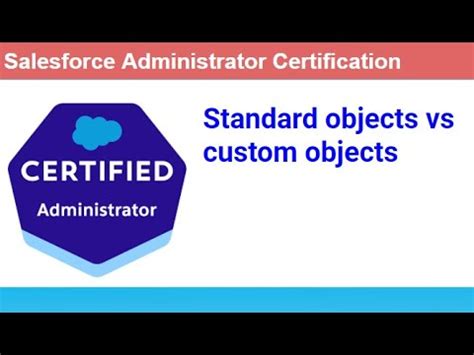 Salesforce Standard Objects Vs Custom Objects Youtube