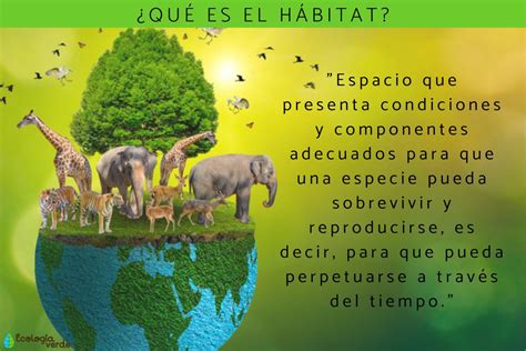 Hábitat Definición y Ejemplos