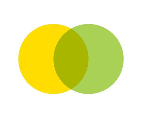 Venn Diagram Circles Infographics 12725707 Vector Art At Vecteezy