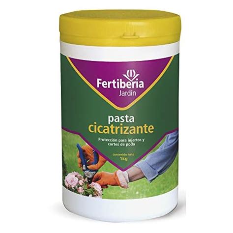Cómo Hacer Pasta De Poda Fácil Y Rápido100 Casero