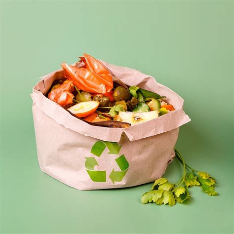 Organic Waste What Is It And How To Treat It Repsol