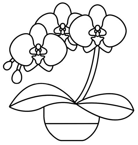 Desenhos de Orquídeas para colorir Bora Colorir
