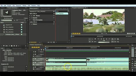 Introducing Adobe Premiere Pro CS4 Basic Video Editing Tutorial YouTube