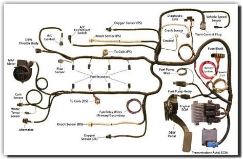 Ls Engine Wiring Harness Conversion Kits