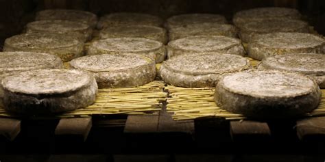 Cuisiner Avec Le Saint Nectaire Marie Claire