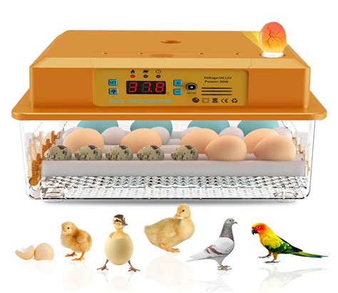 Buy Akwin Incubator Egg Automatic Incubator Brooding Machine Chicken