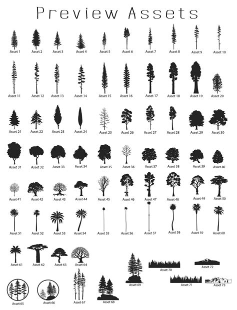 B Ume Svg Bundle Gro E Auswahl An B Ume Clipart Png Wald Silhouette