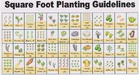 Printable Square Foot Gardening Chart