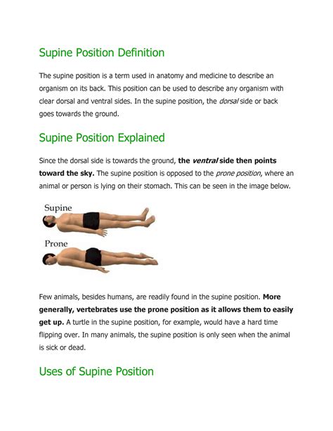 Supine Position Definition This Position Can Be Used To Describe Any