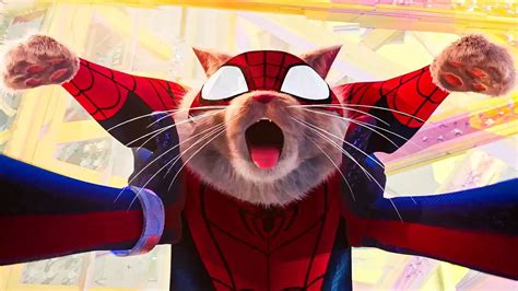 Spider Man Across The Spider Verse Miles Morales Vs Spider Cat K