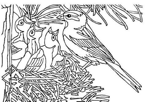 Desenhos De Ninho Para Imprimir E Colorir Pintar