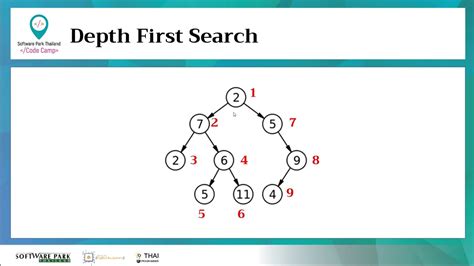 algorithm lesson3 tree data structure graph algorithm 3 3 โครงสร้างของ binary search tree
