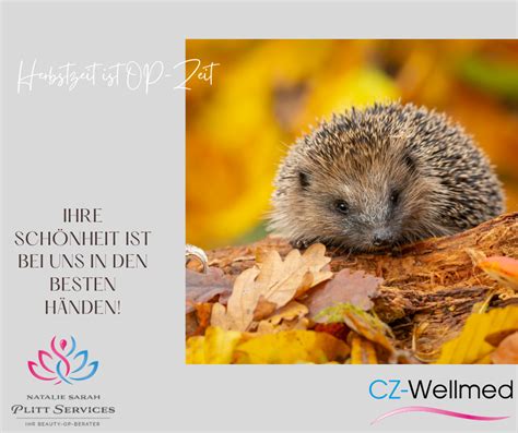 Wir wünschen Ihnen und Ihrer Familie ein schönes Wochenende