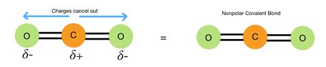 Polar Covalent Bond Vs Nonpolar Covalent Bond