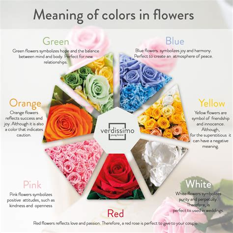 Roses Are One Of The Flowers With The Most Meanings They Are The