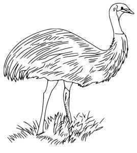 55 Desenhos De Grama Para Imprimir E Colorir Pintar