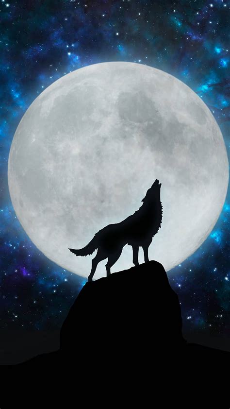 Wolf Howling Wallpaper Hd