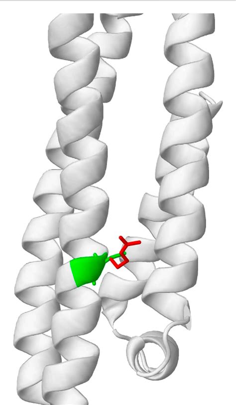 Figure 5 From Orthogonal Analysis Of Variants In APOE Gene Using In