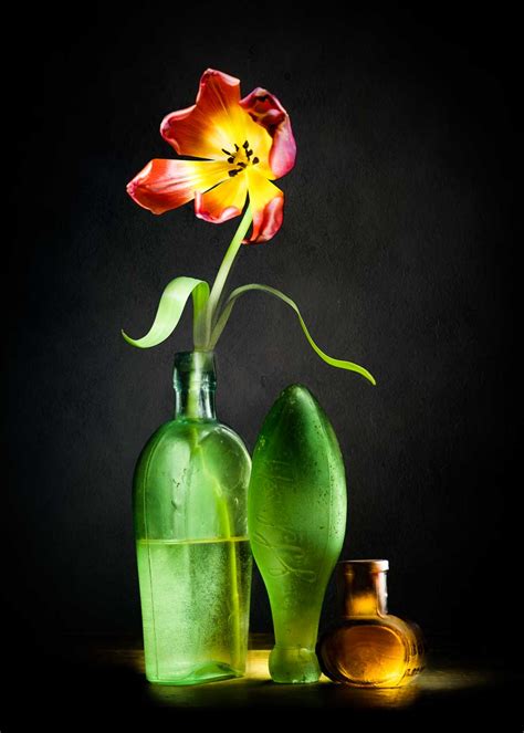 Still Life Double Exposure Photography