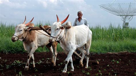 Indias Farm Exports IAS EXAM