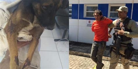 Homem é preso após arrastar cachorro pelas ruas amarrado a um veículo