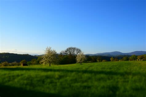 Kostenlose Foto Landschaft Baum Natur Gras Horizont Berg Wolke