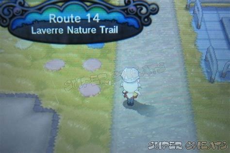 Route Laverre Nature Trail Pokemon Y