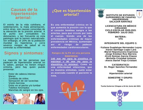 Triptico HTA By Mariel Nepomuceno Issuu