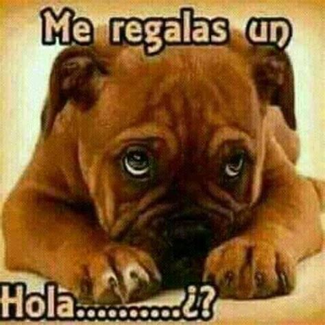 Total 93 Imagen Imagenes De Hola Como Estas Con Movimiento Abzlocal Mx