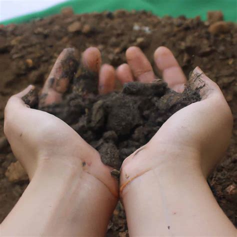 Descubre el significado de soñar con tierra y cómo interpretarlo