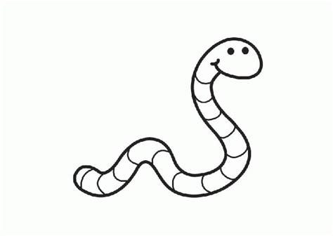 Desenhos De Minhocas Para Imprimir E Colorir Pintar