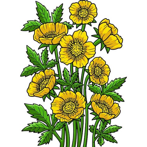 Bulboso ranúnculo flor dibujos animados color Clipart Vector Premium