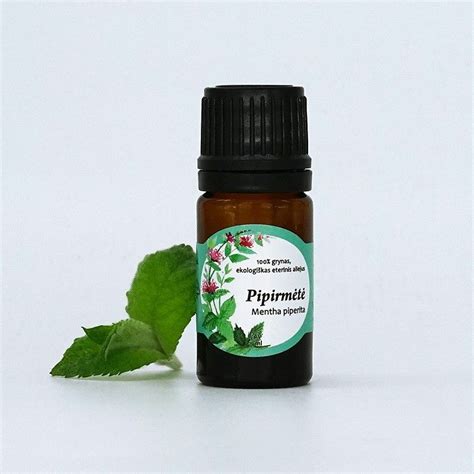 Pipirmėčių eterinis aliejus aromáma