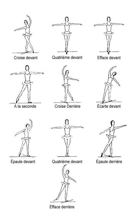 Ballet Midterm Dance Positions Diagram Quizlet 55 OFF