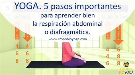 Yoga 5 pasos importantes para aprender bien la respiración abdominal o