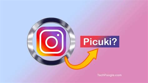 Picuki Here S Everything You Need To Know TechFoogle