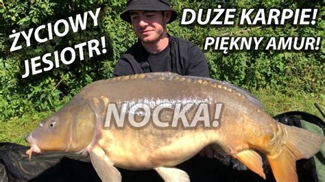NOCKA JESIOTRY DUŻE KARPIE I PIĘKNY AMUR Z ŁOWISKA RUSIEC GOŚCINNIE