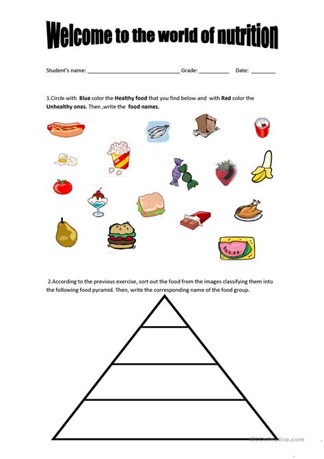 18 Free Esl Food Pyramid Worksheets Free Printable Food Pyramid