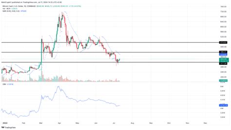 Dormant Bitcoin Cash BCH Moves Sparks Bearish Predictions