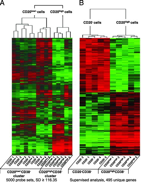 Unsupervised And Supervised Clustering Of Gene Expression Profiles Of
