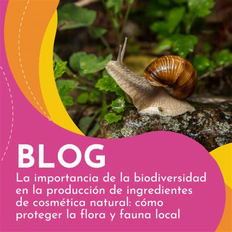 La importancia de la biodiversidad en la cosmética natural Poompa