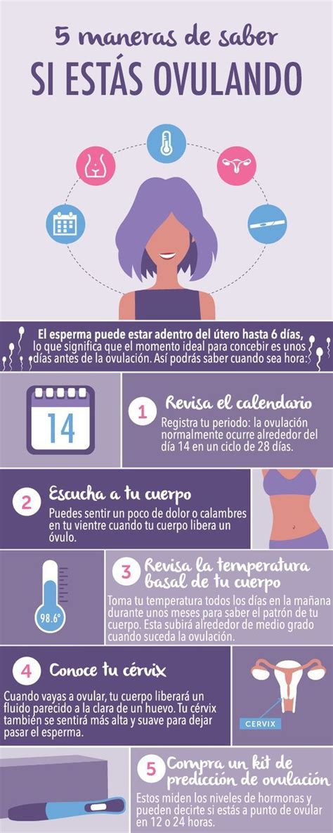 Cómo saber si estoy ovulando Conocer tu ciclo fértil te ayuda a