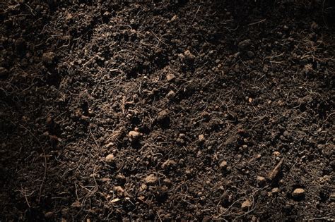 Premium Photo Fertile Loam Soil Suitable For Planting Soil Texture