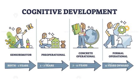 Cognitive Development Progress Stages By Age Vector Illustration